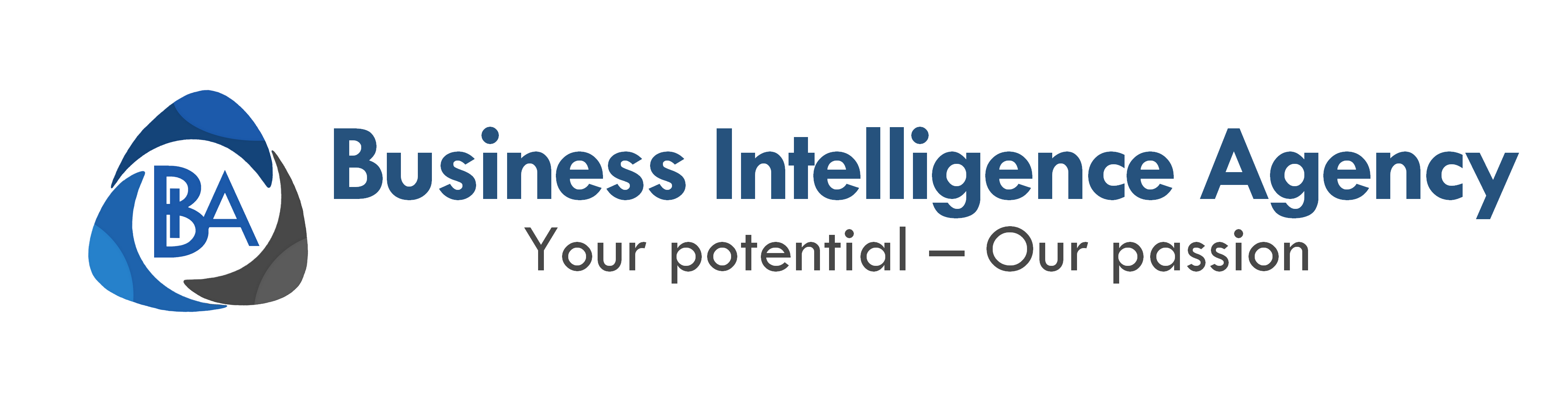 Les fondamentaux de la Business Intelligence - B.I.A